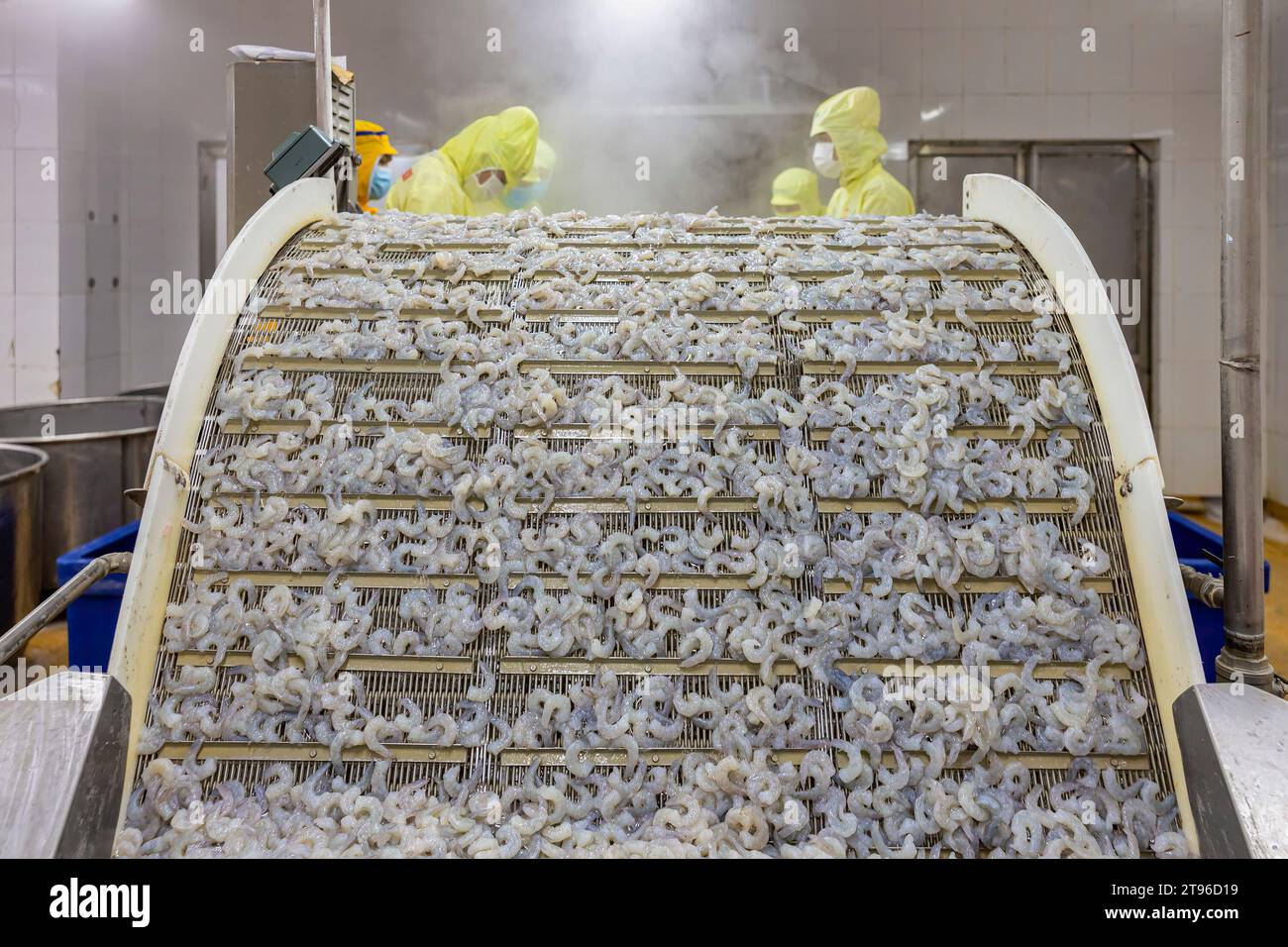 Process shrimp at factory in Vietnam Stock Photo - Alamy