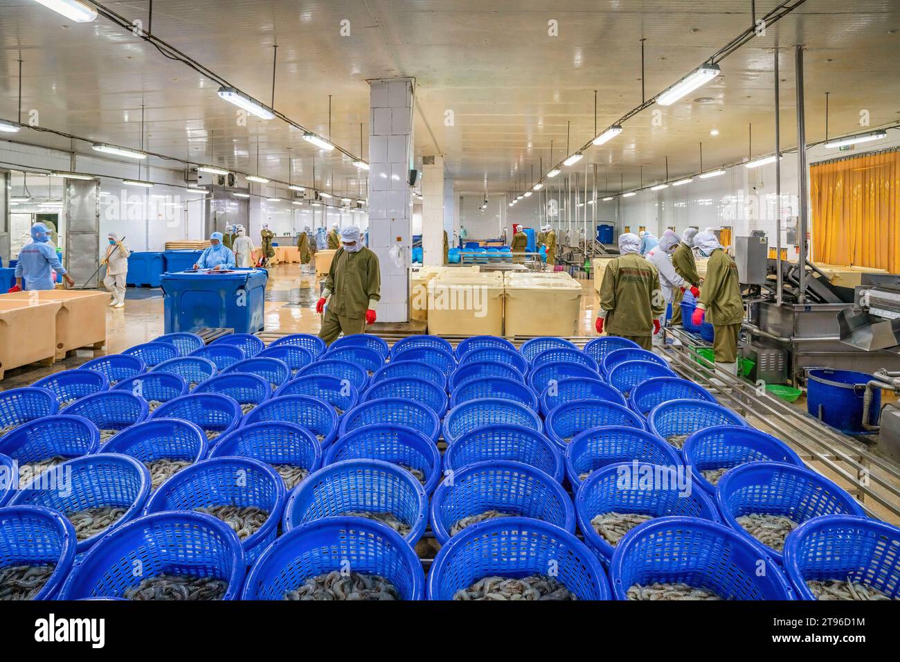Importing raw shrimp into the factory in Vietnam Stock Photo - Alamy