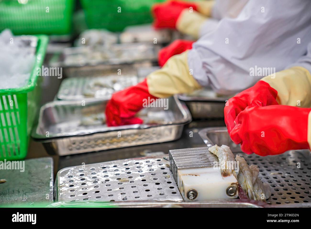 Process shrimp at factory in Vietnam Stock Photo - Alamy
