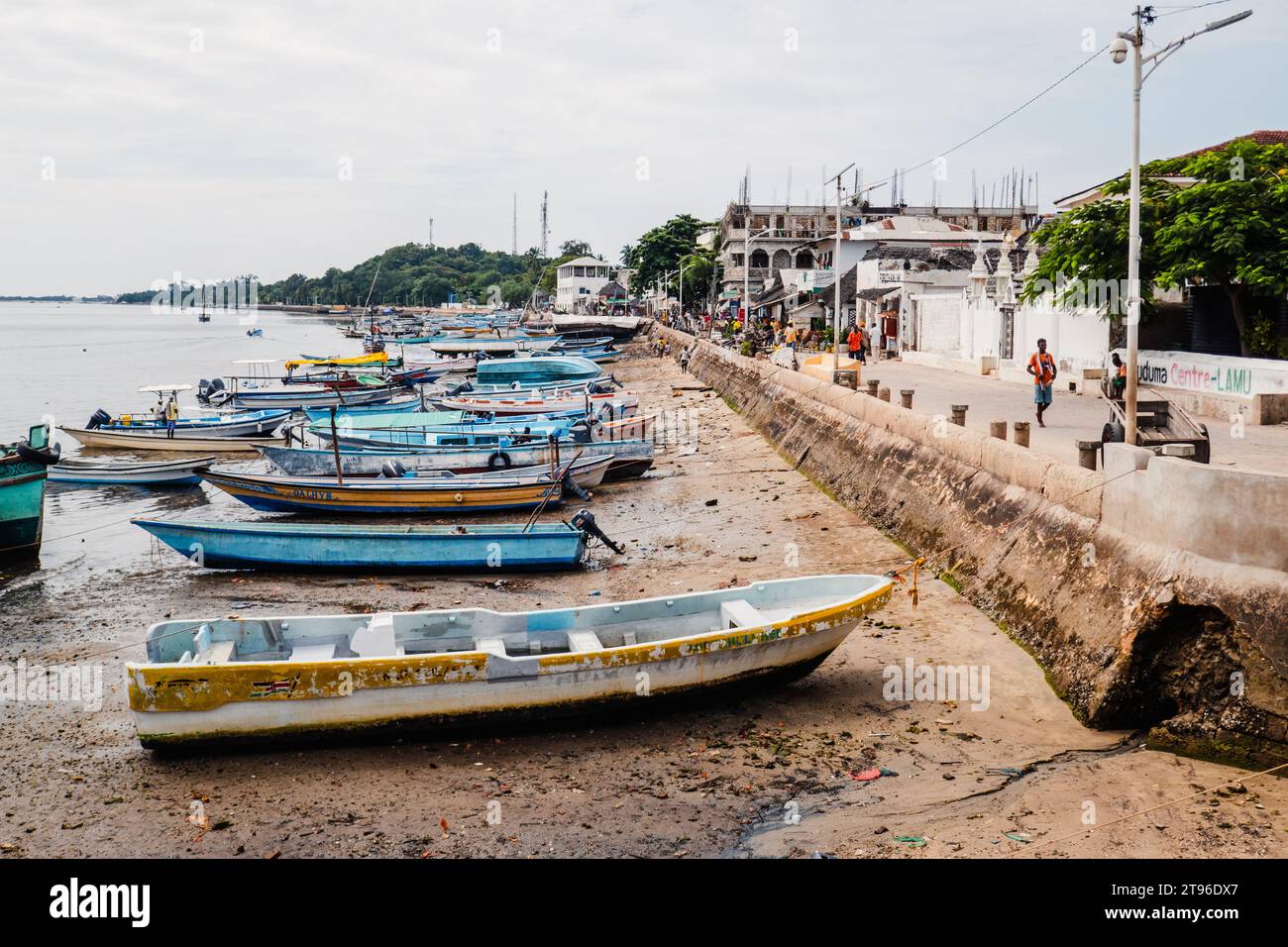 Boats and wooden dhows at Shela Beach in Lamu Island, Kenya Stock Photo ...