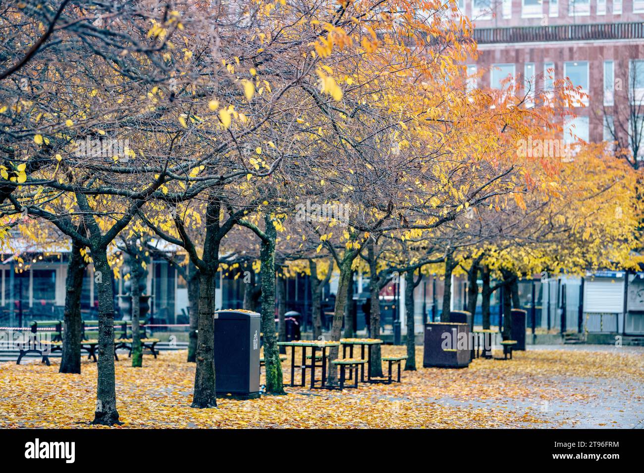An outdoor seating area with multiple benches placed beneath a canopy ...