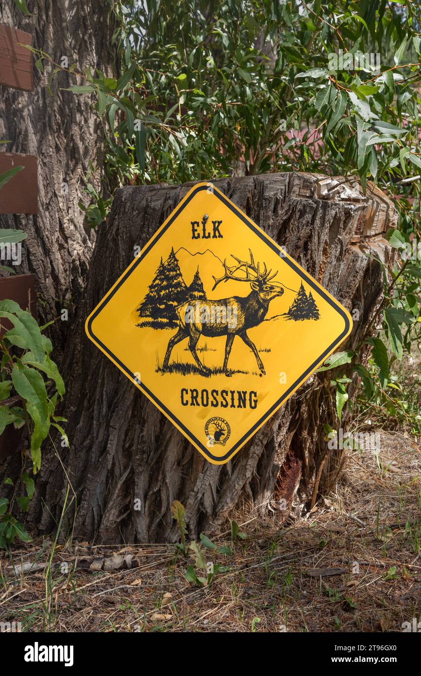 Diamond crossing hi-res stock photography and images - Alamy