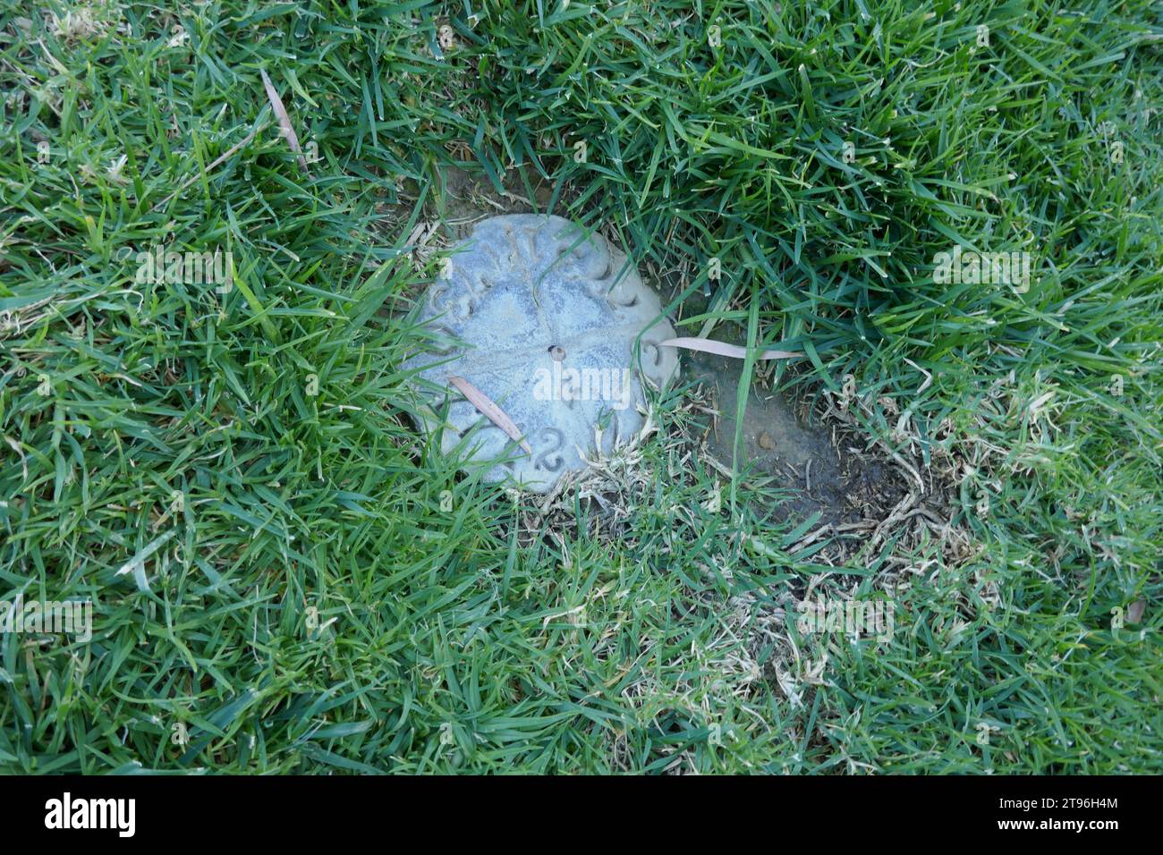 Glendale, California, USA 21st November 2023 Music Talent Manager and ...