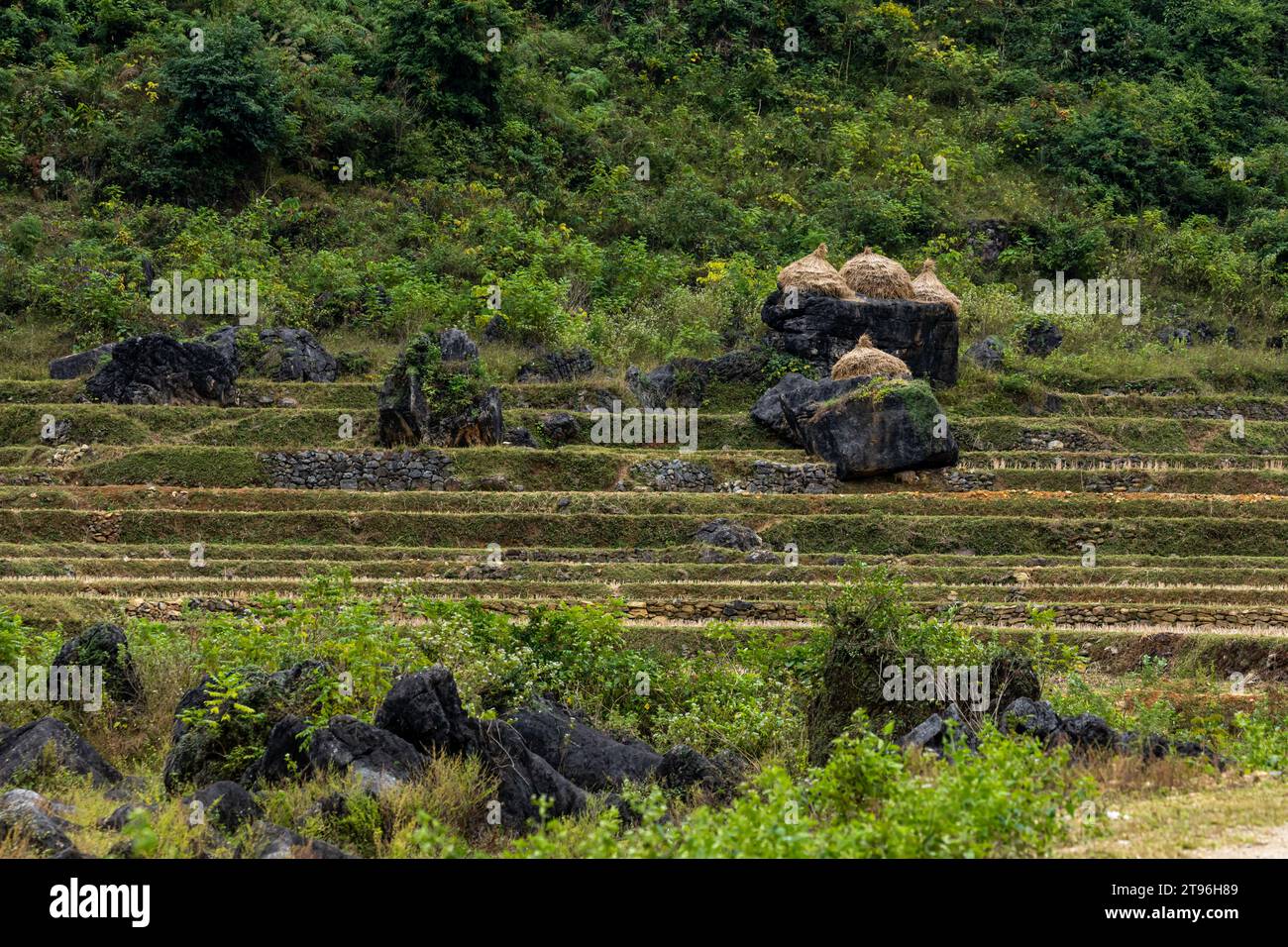 The Landscape at Ban Gioc in North Vietnam Stock Photo - Alamy