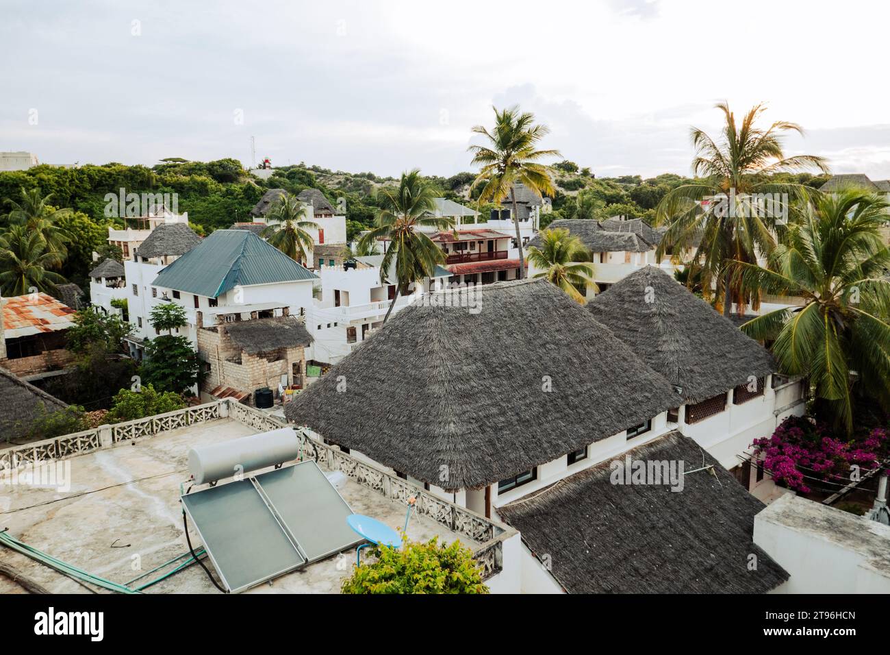 Waterfront proprieties midst palm trees in Shela Beach in Lamu Island ...