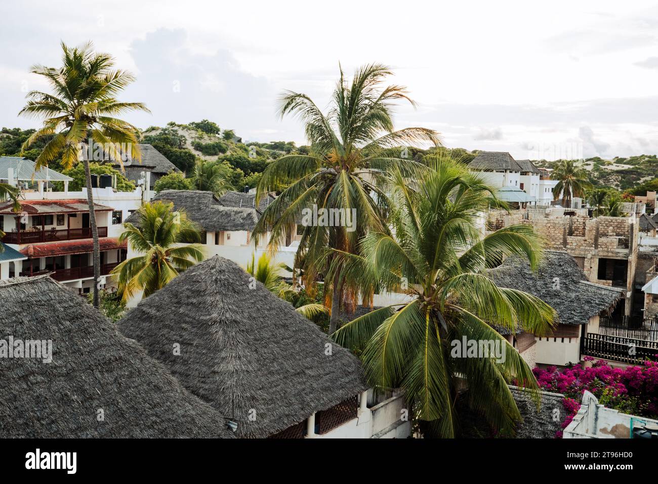 Waterfront proprieties midst palm trees in Shela Beach in Lamu Island ...