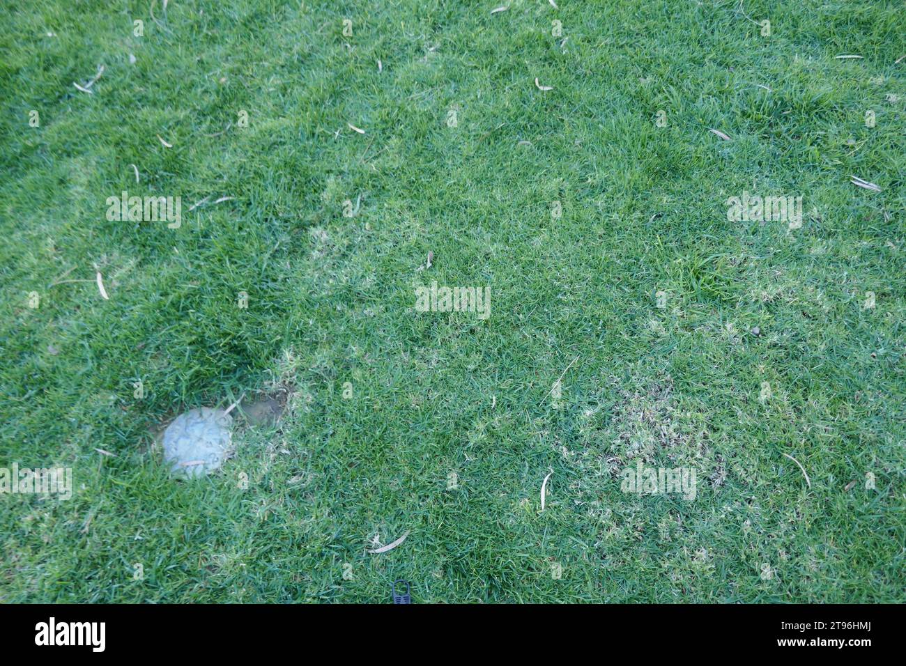 Glendale, California, USA 21st November 2023 Music Talent Manager and ...