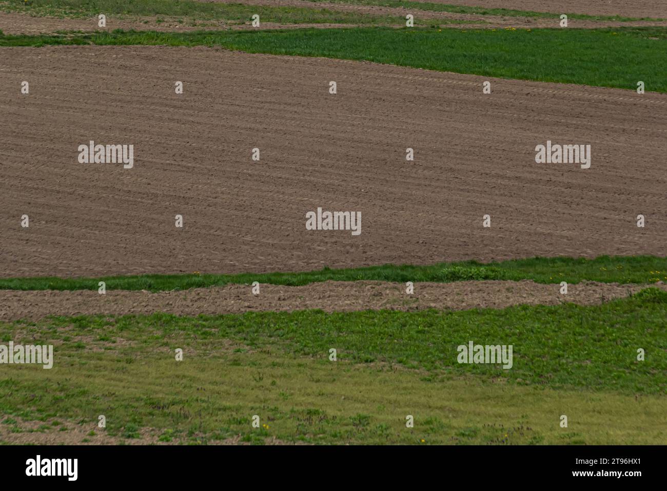Field earth ground land growth hi-res stock photography and images - Alamy
