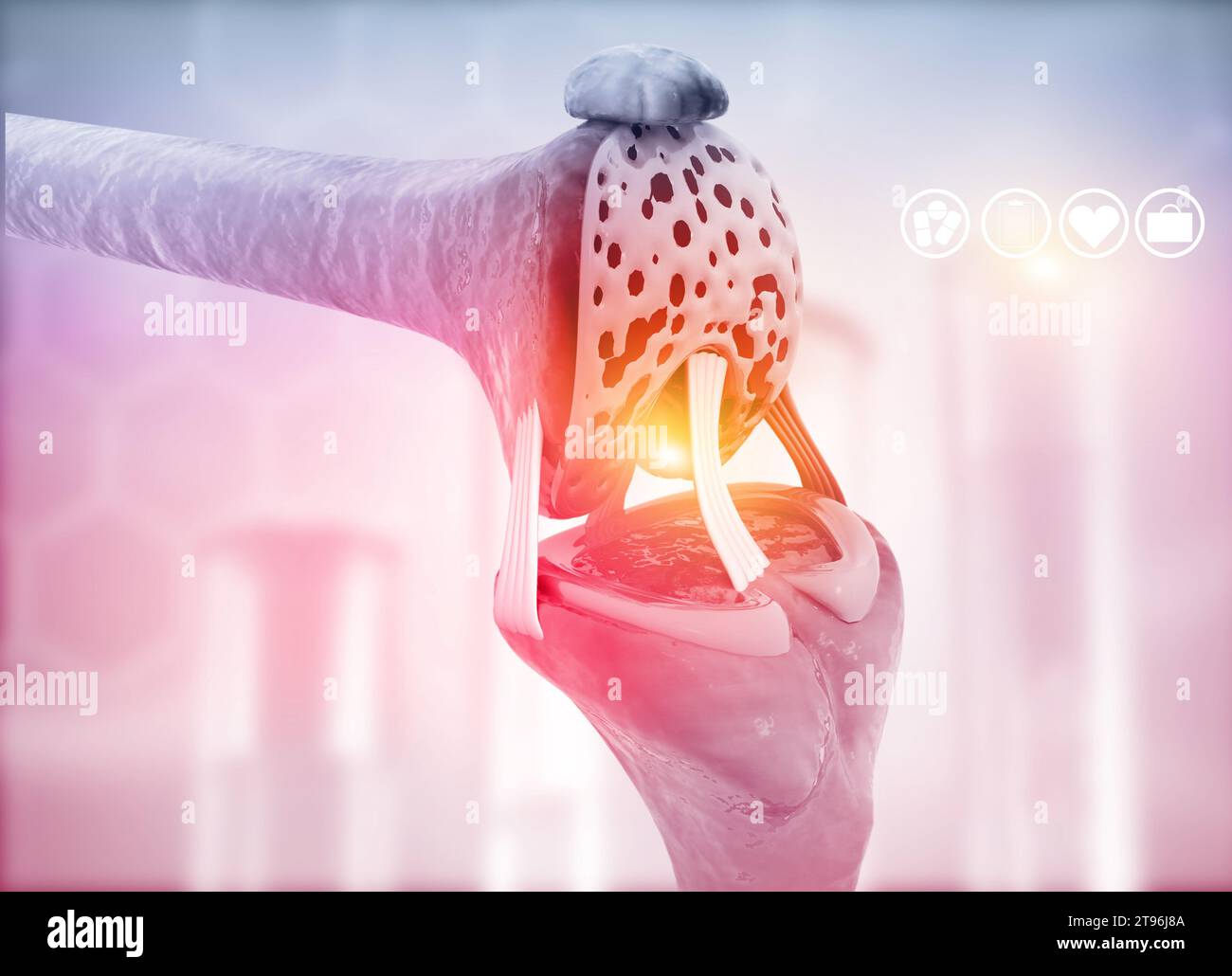 Anatomy of knee joint on medical background. 3d illustration Stock ...