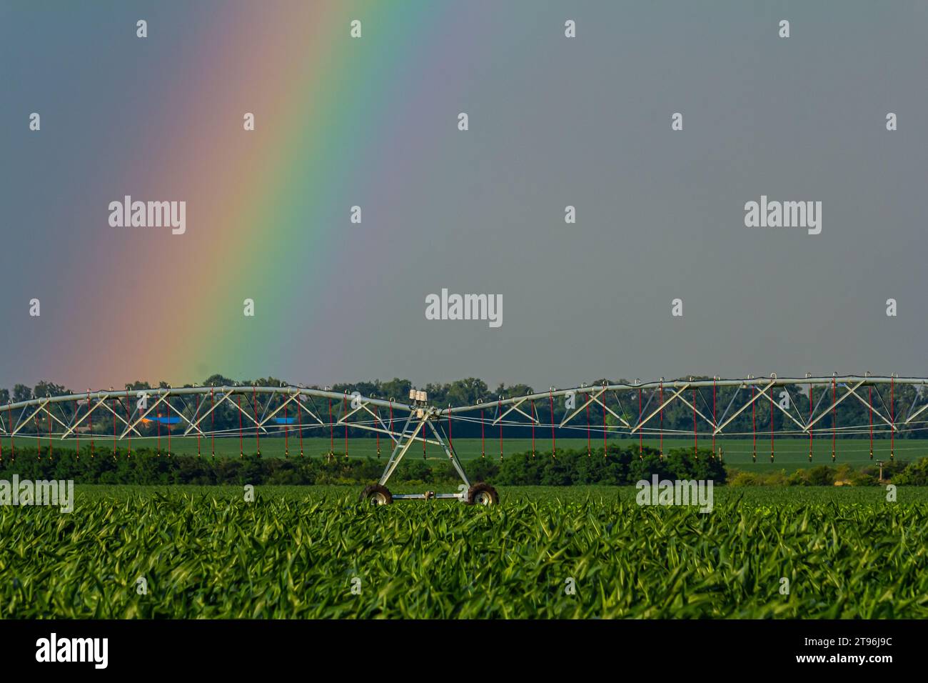 Large irrigation system in a green field, with a beautiful rainbow ...