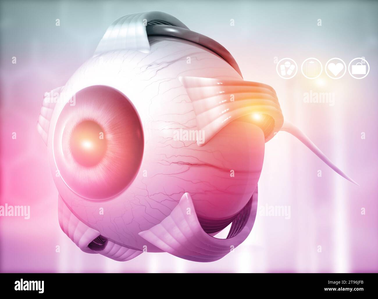 Human eye anatomy. 3d illustration Stock Photo - Alamy