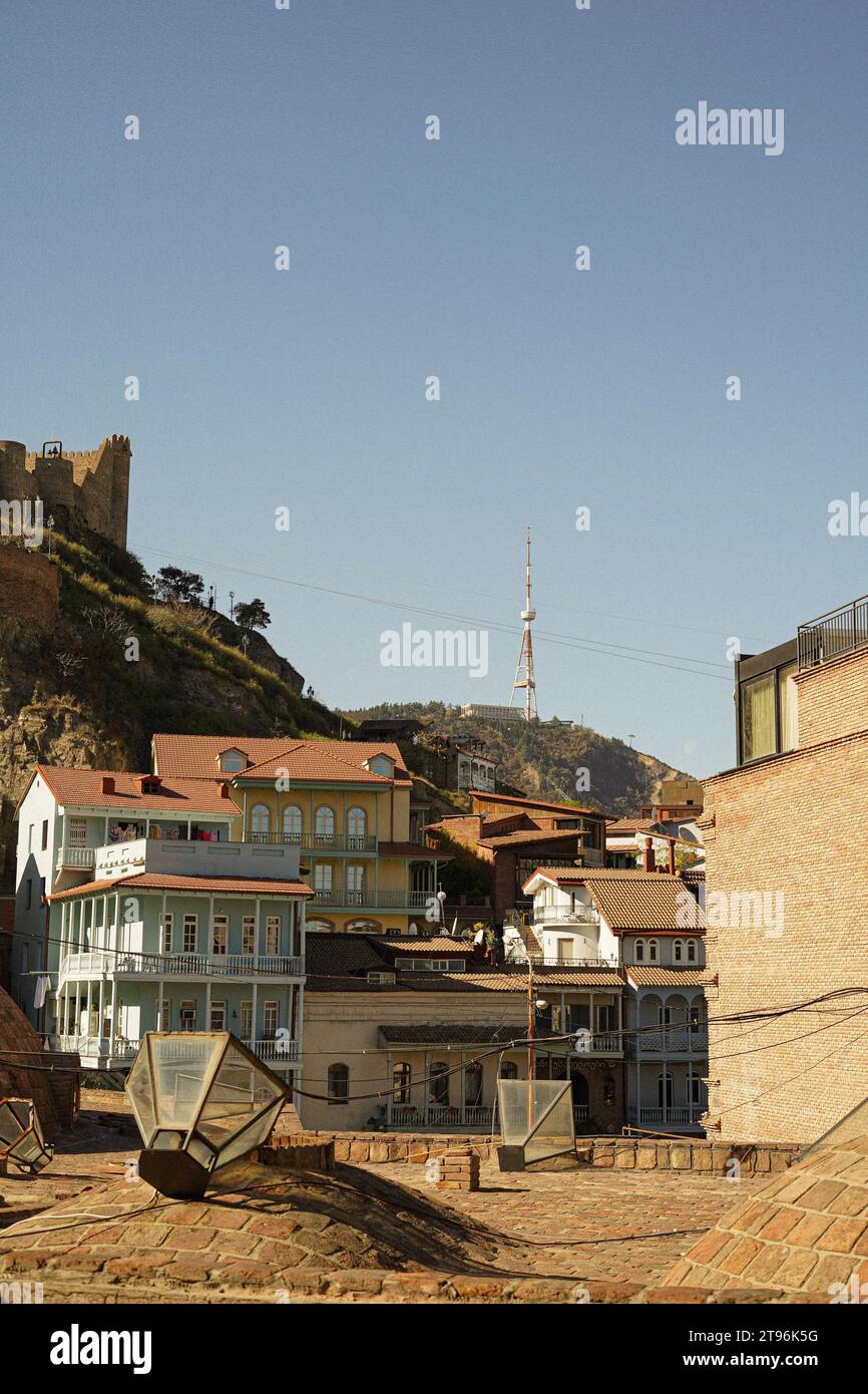 Astonishing plants hi-res stock photography and images - Alamy