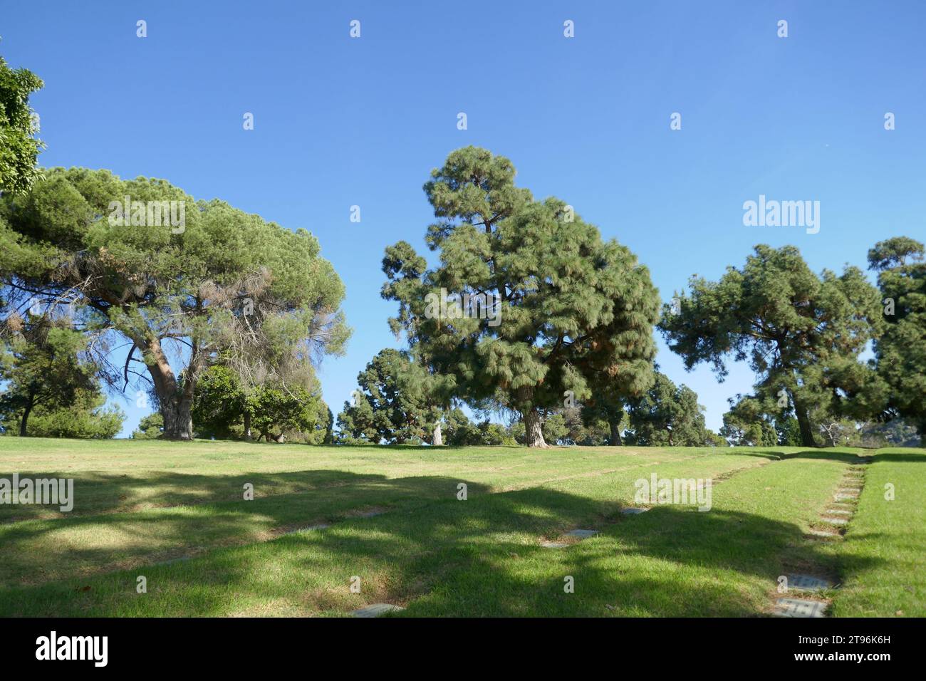 Glendale, California, USA 21st November 2023 Forest Lawn Memorial Park on November 21, 2023 in ...