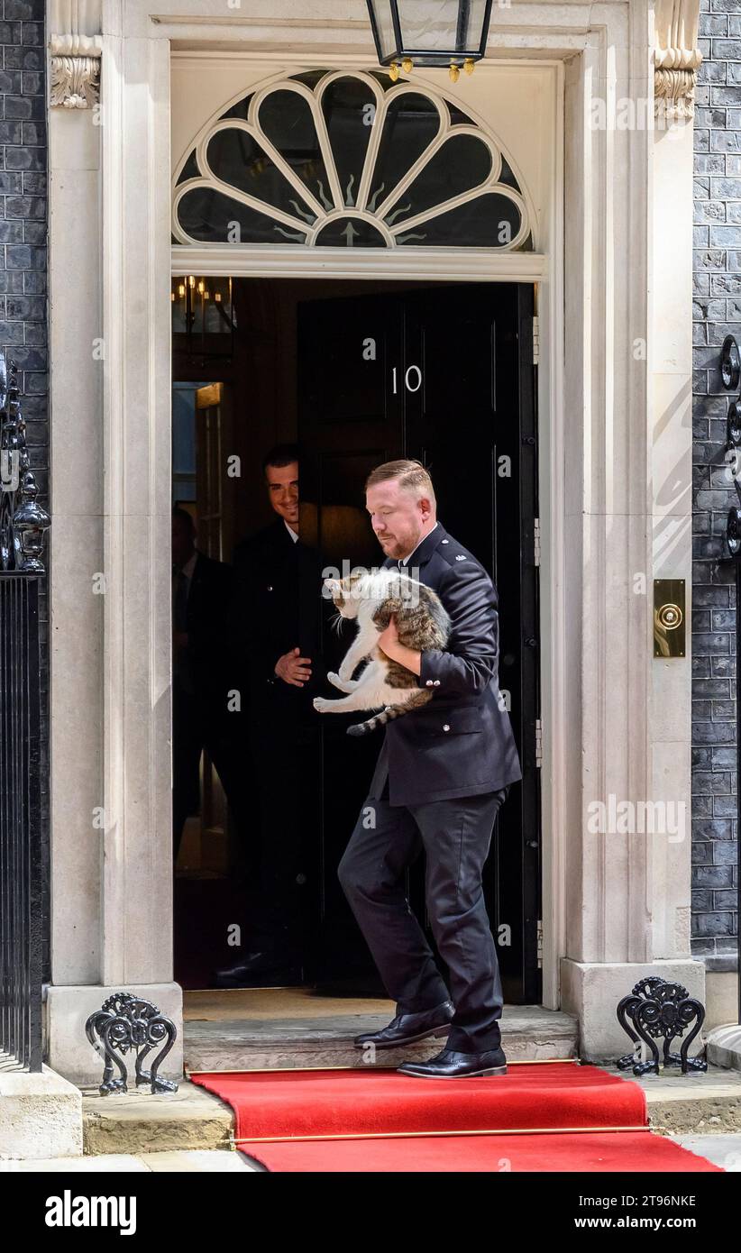 Larry the Cat - Chief Mouser to the Cabinet Office since 2011 - removed ...