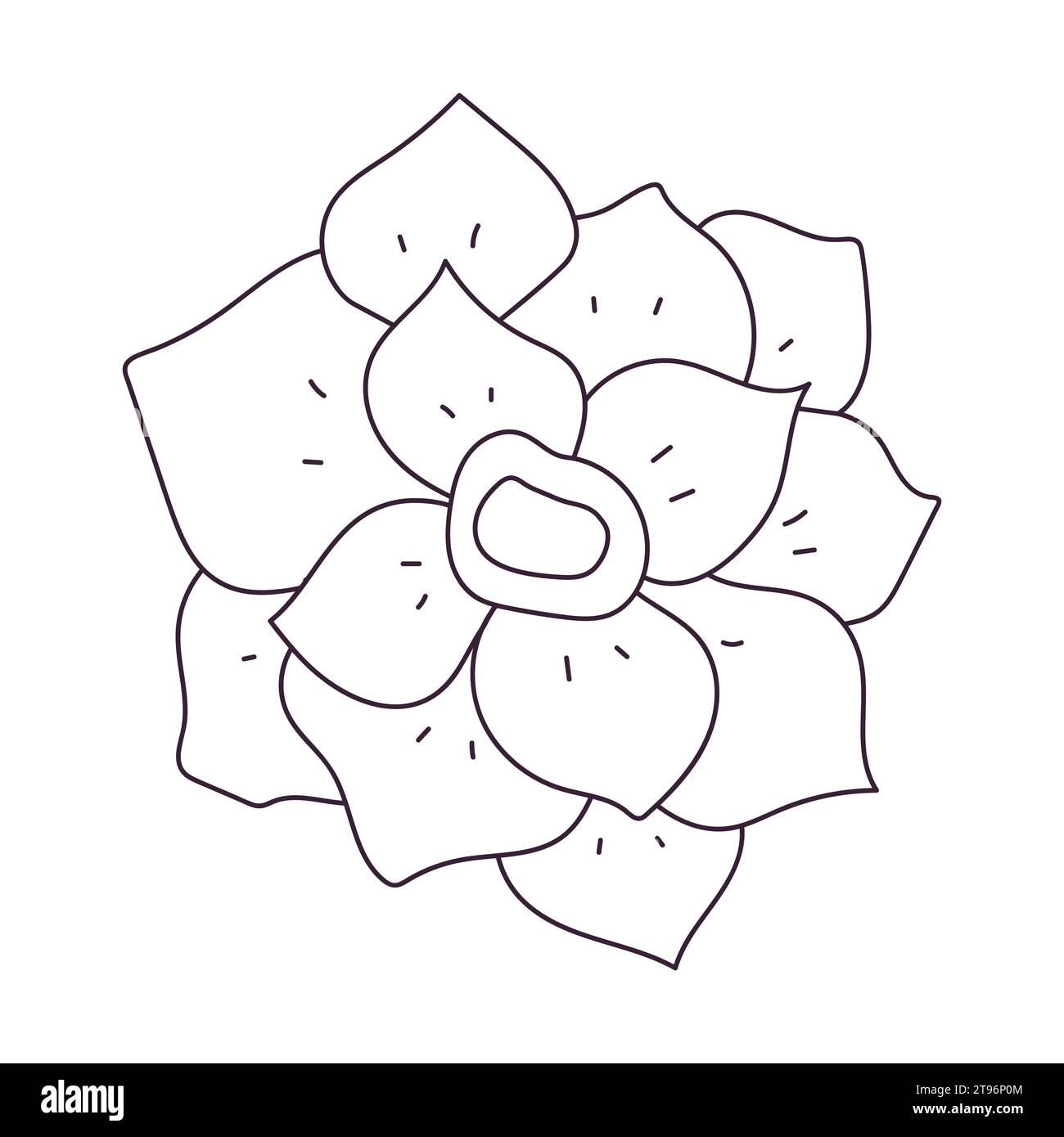 Hand drawn flower bud. Simple botanical element. Outline doodle vector ...
