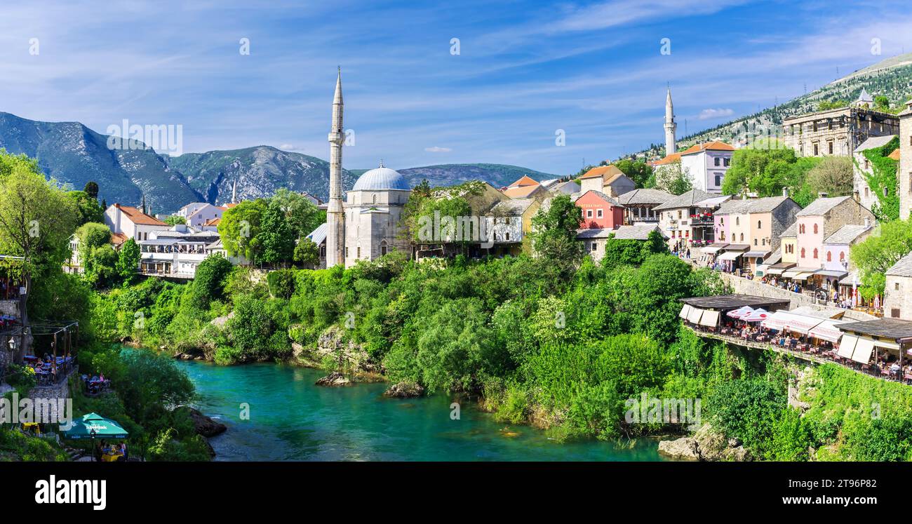 Naturein history hi-res stock photography and images - Alamy