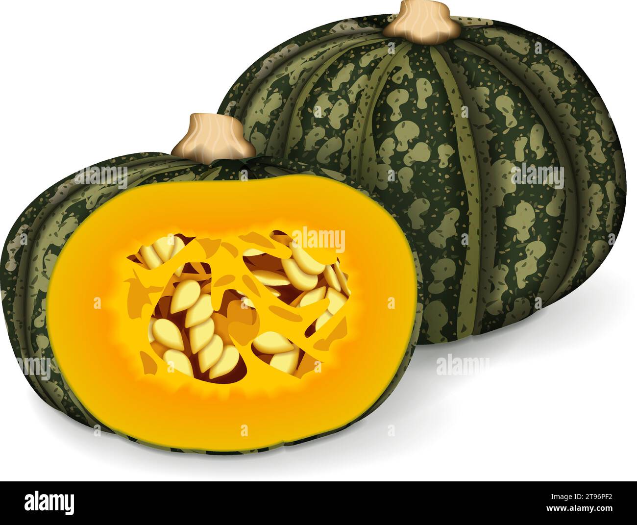Whole and half of Kabocha winter squash pumpkins. Chestnut squash ...