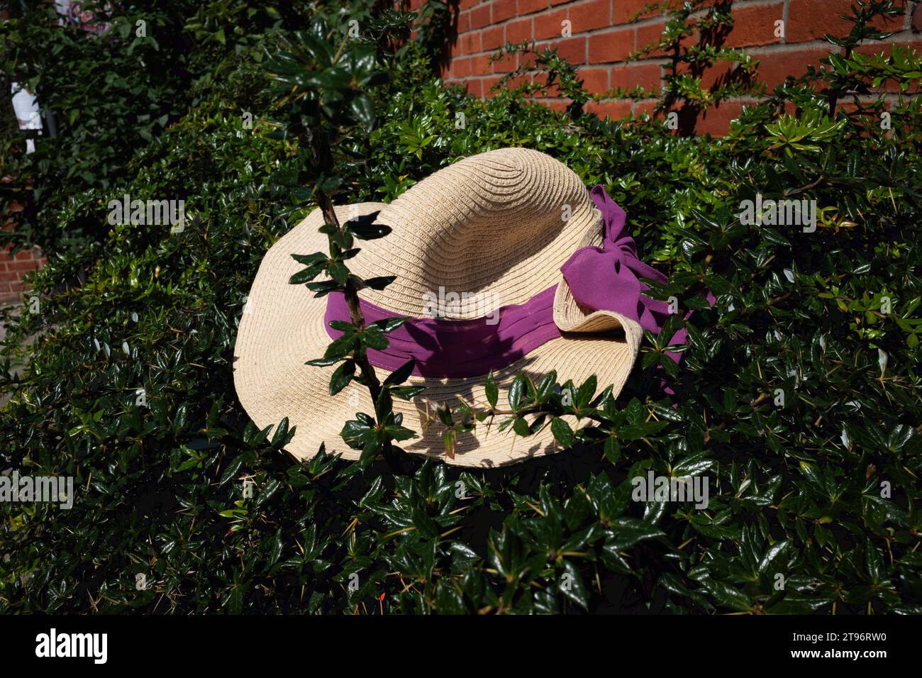 Ladies hat hi-res stock photography and images - Alamy
