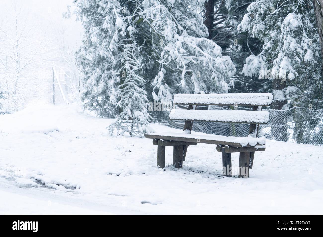 Snow covered wooden bench in a winter park Stock Photo - Alamy