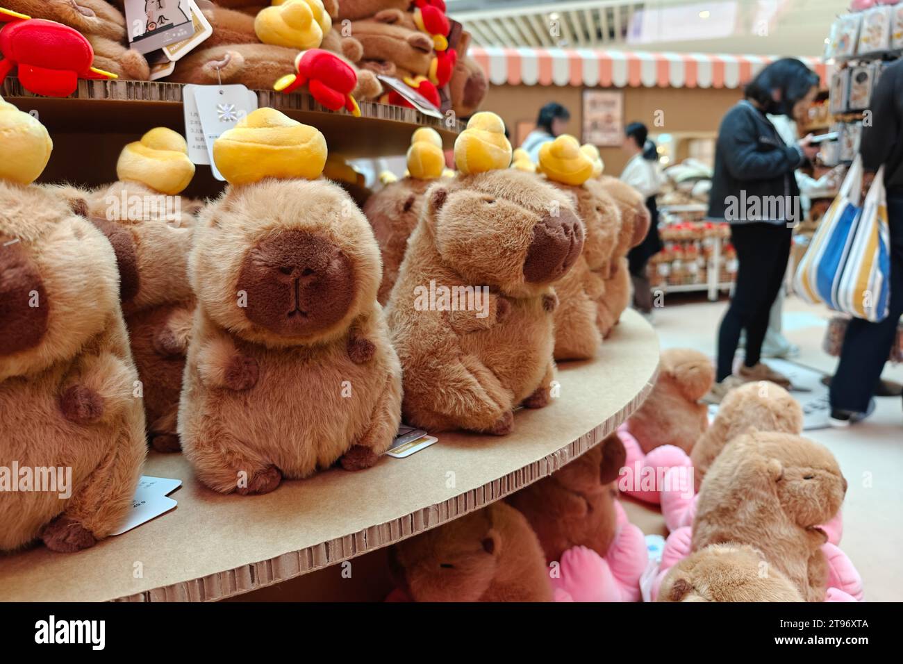SHANGHAI, CHINA - NOVEMBER 23, 2023 - CapyBara dolls at in China's first pop-up store in ...