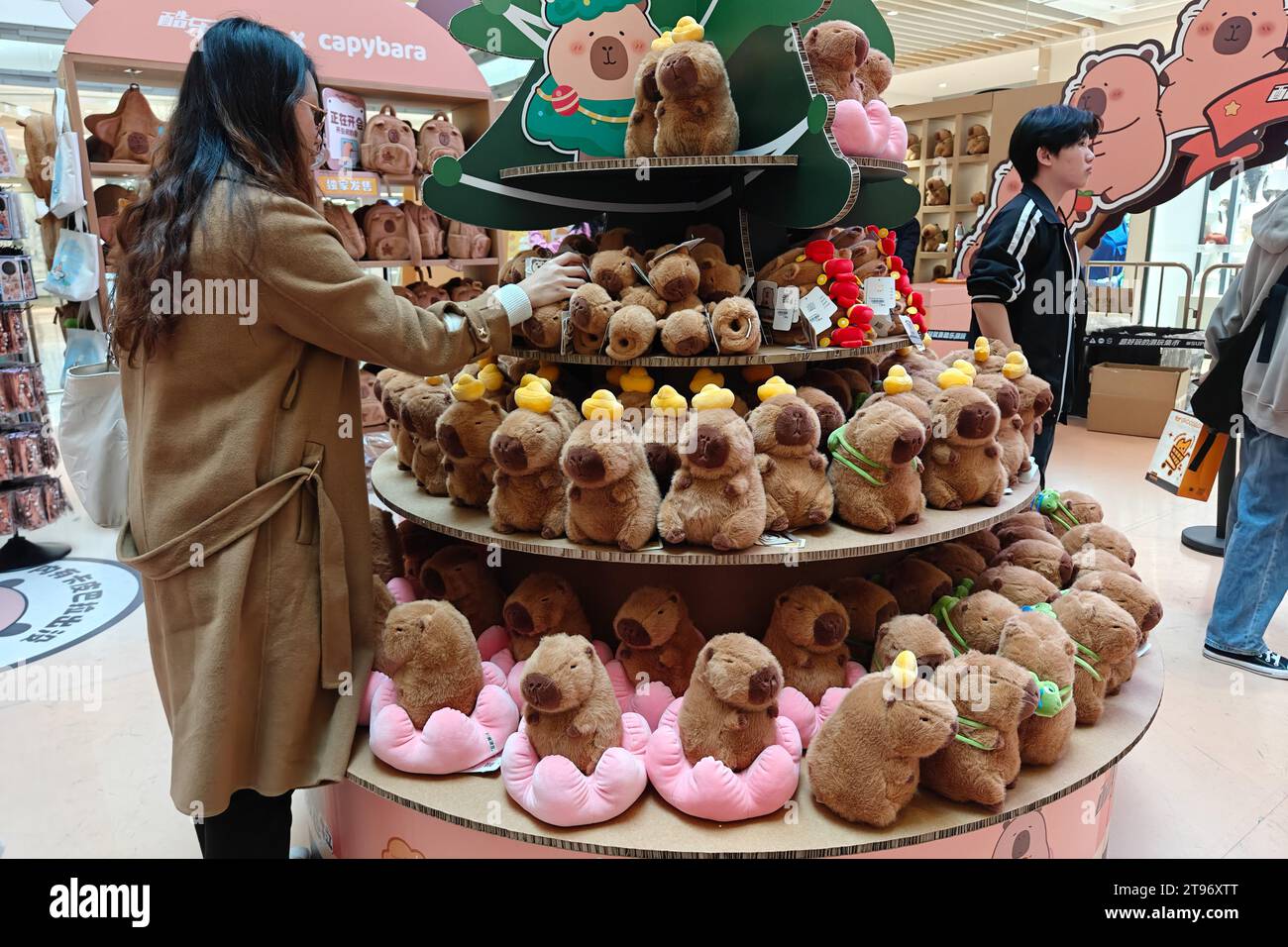 SHANGHAI, CHINA - NOVEMBER 23, 2023 - CapyBara dolls at in China's first pop-up store in ...