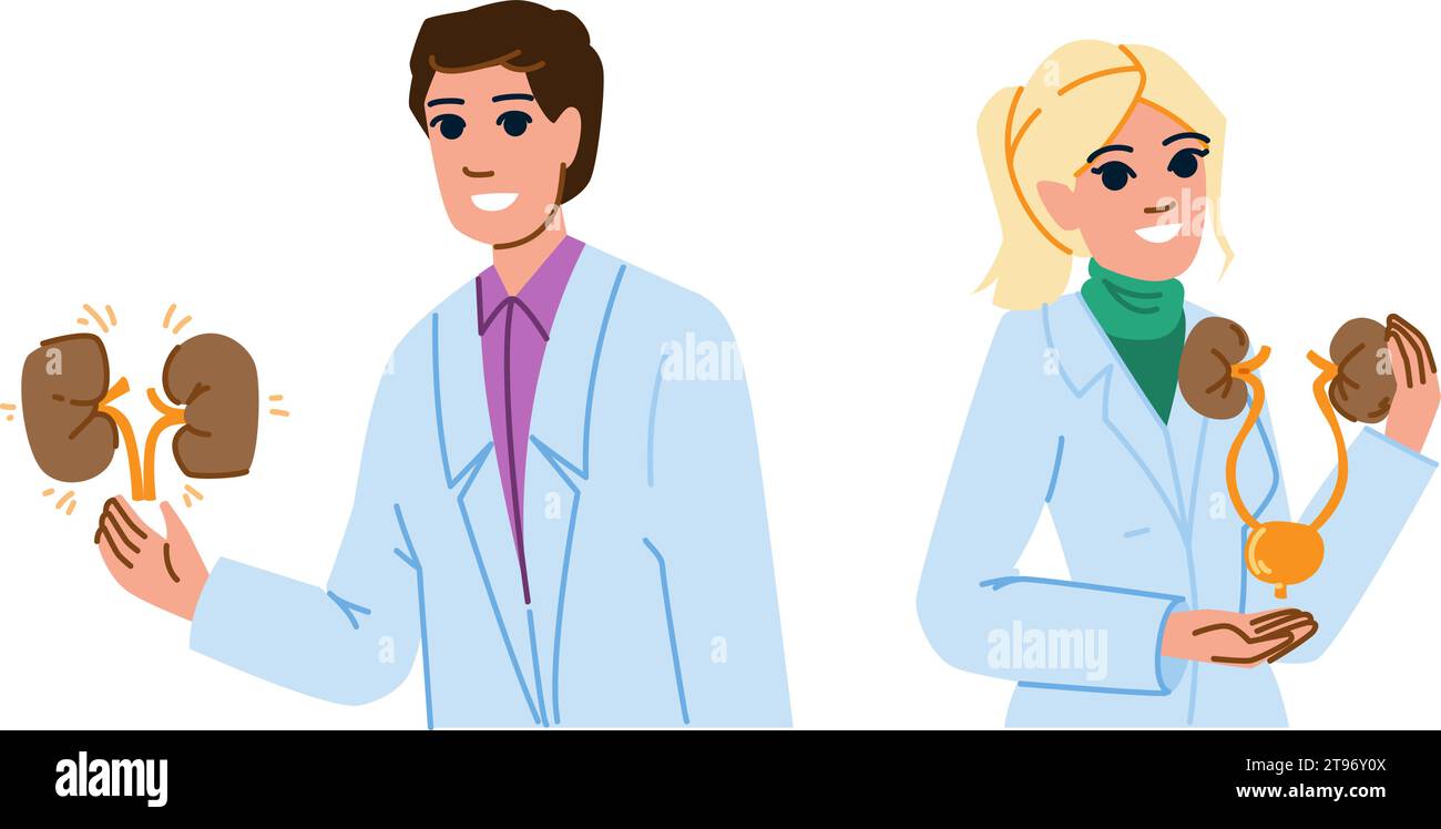 medicine urologist health vector Stock Vector Image & Art - Alamy