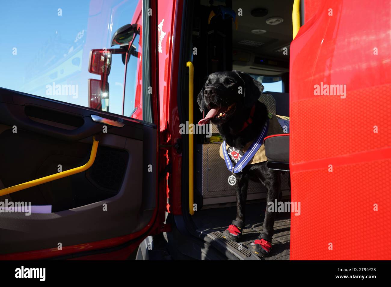 Britain's longest-serving Fire Investigation Dog, Labrador Reqs ...
