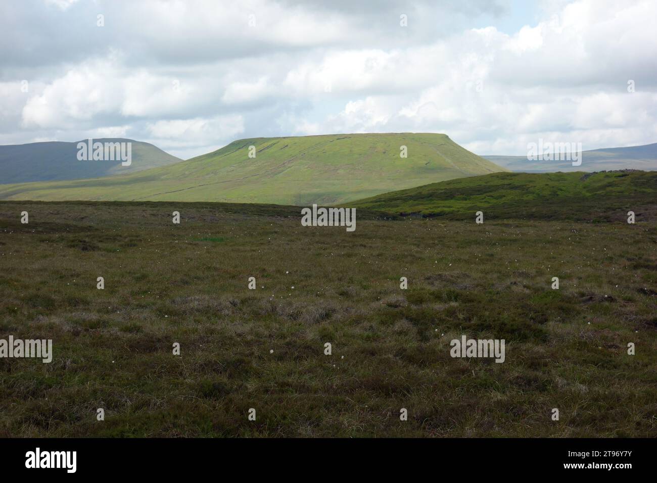 Great Whernside & the Flat Topped Little Whernside from Dead Mans Hill ...