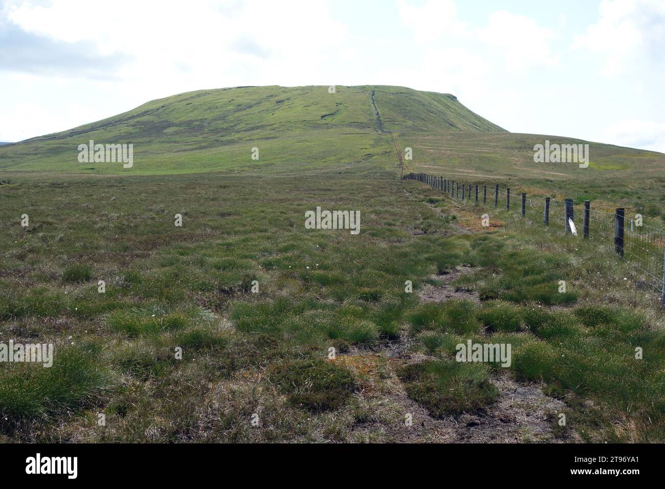 'Little Whernside' from the Public Footpath to Scar House Reservoir in ...