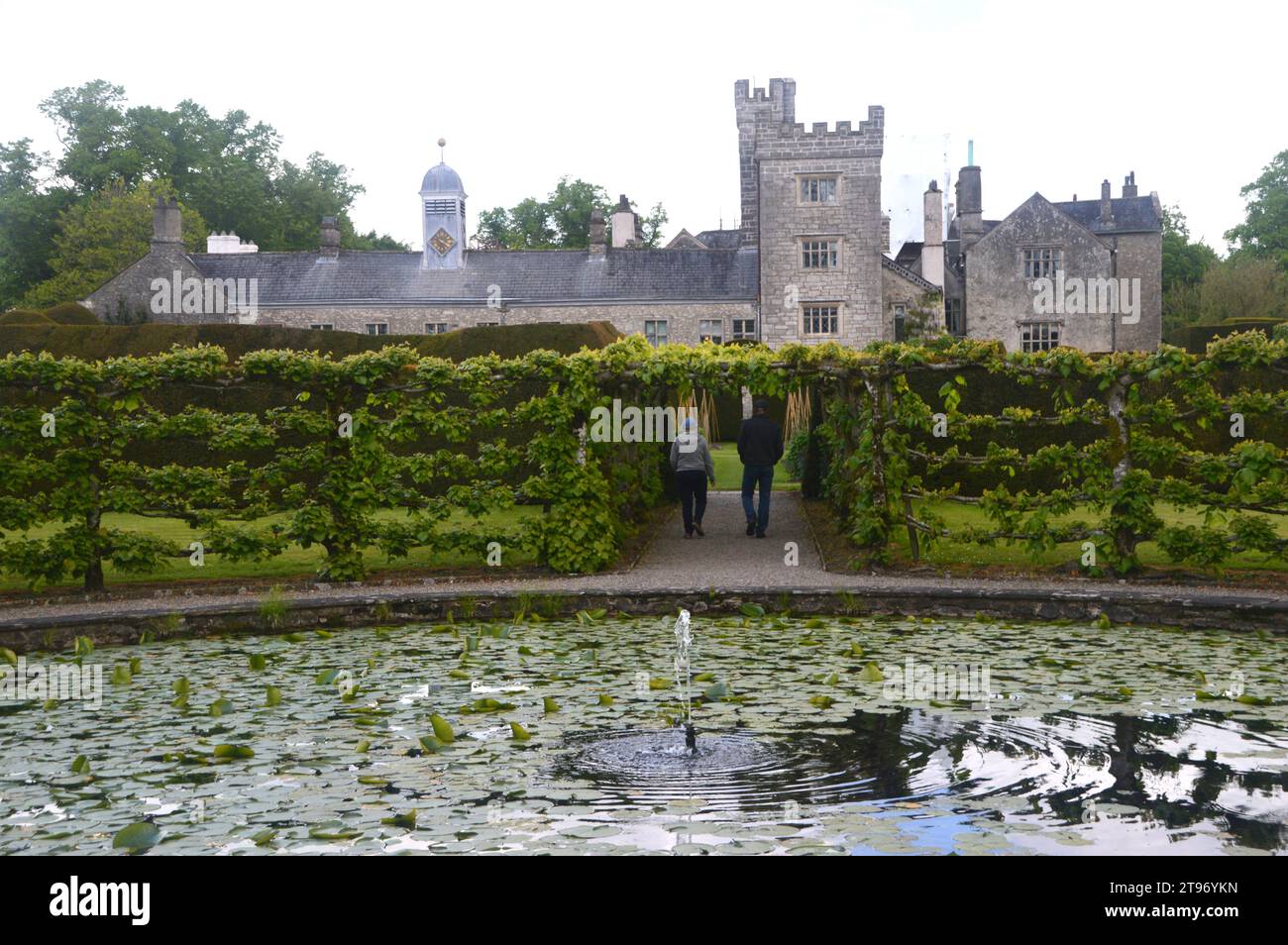 Two People Walking on a Path through a Hedge by the Lily Pond at Levens ...