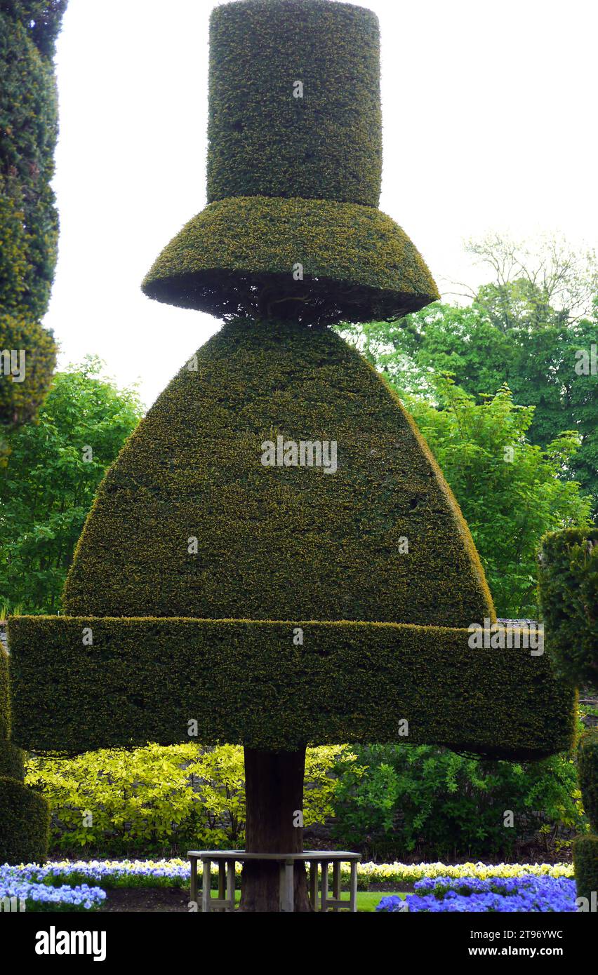 Sculptured, Trimmed Topiary Trees at Levens Hall & Gardens, Kendal ...