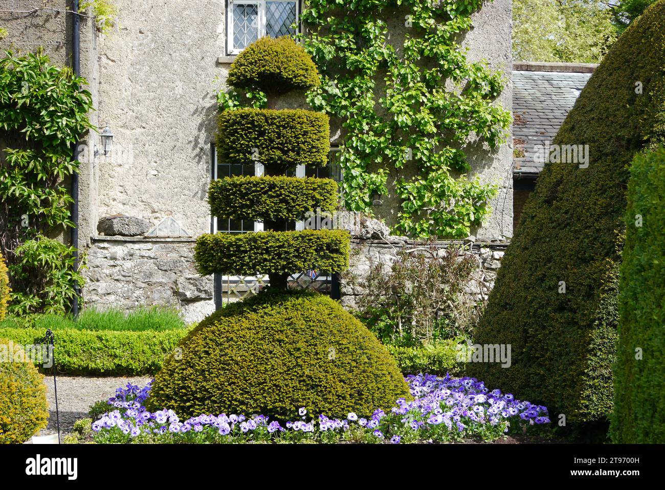 Sculptured, Trimmed Topiary Trees at Levens Hall & Gardens, Kendal ...