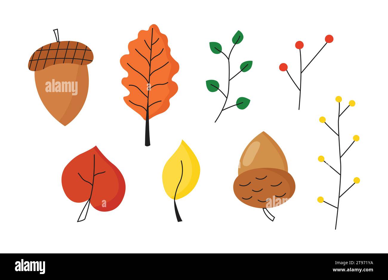 Fall season acorn and leaves set. Autumn berries illustration cozy ...