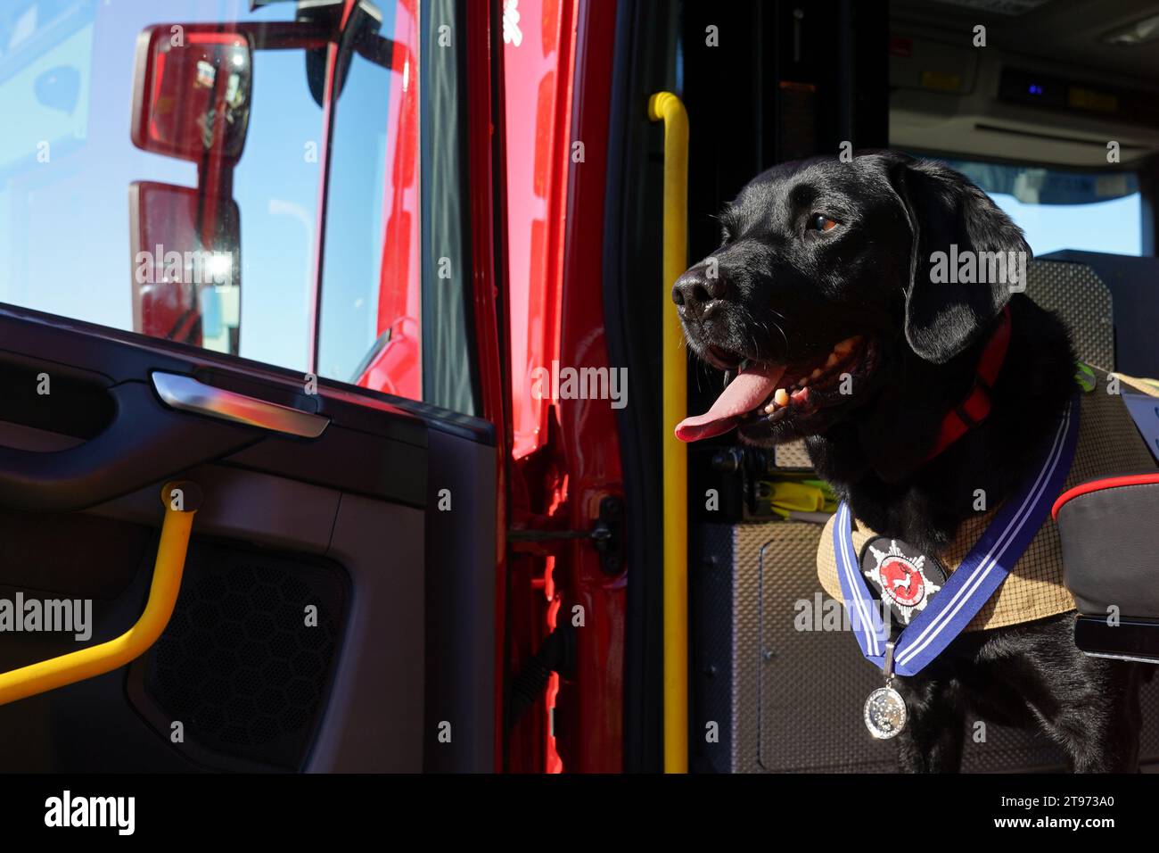 Britain's longest-serving Fire Investigation Dog, Labrador Reqs ...