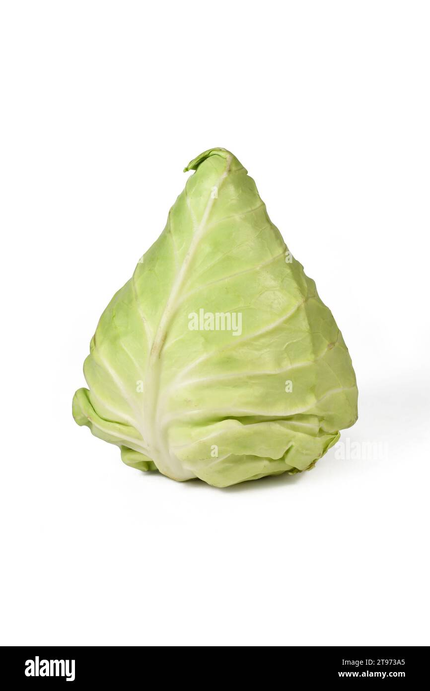 Pointed cabbage on white background Stock Photo - Alamy