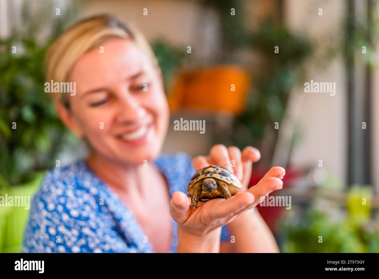 Happy woman is holding her little pet turtle in hand. Focus on turtle ...