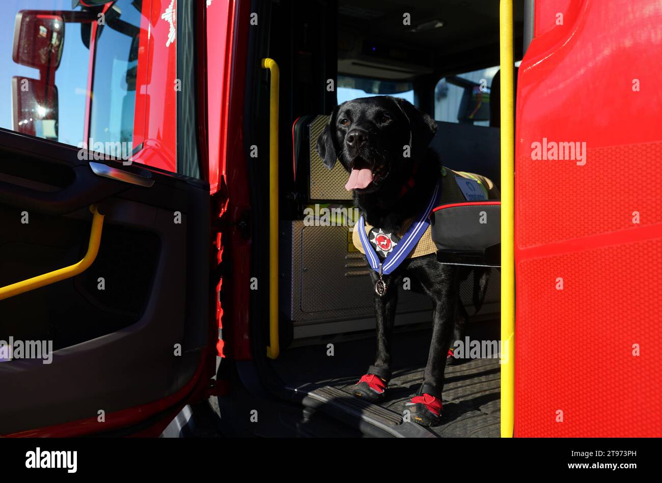 Britain's longest-serving Fire Investigation Dog, Labrador Reqs ...