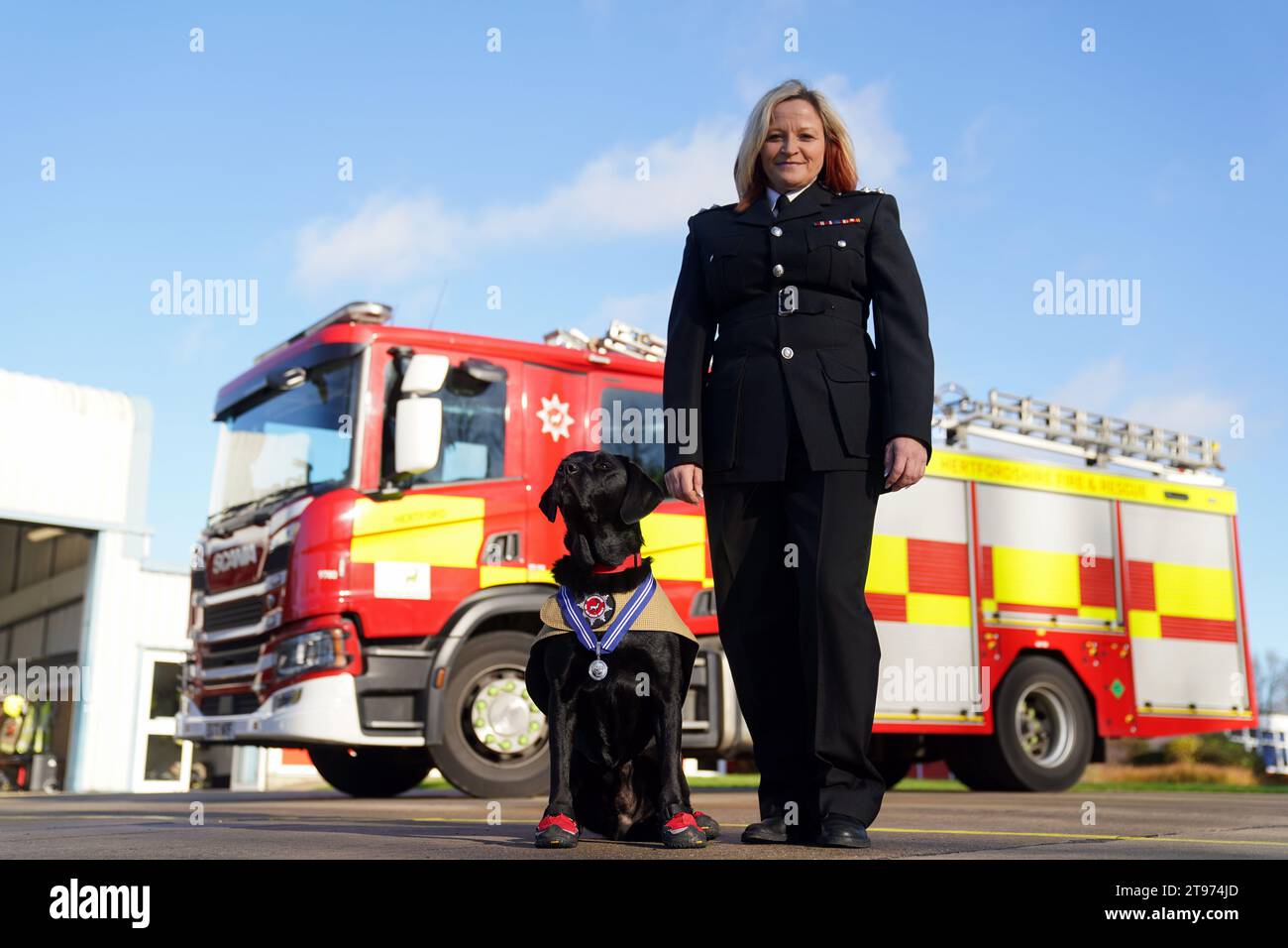 Britain's longest-serving Fire Investigation Dog, Labrador Reqs with ...