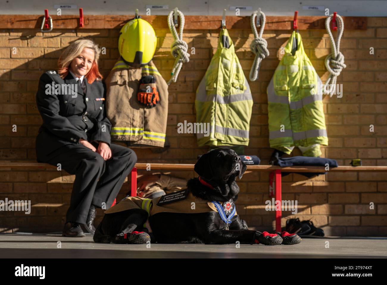 Britain's longest-serving Fire Investigation Dog, Labrador Reqs with ...
