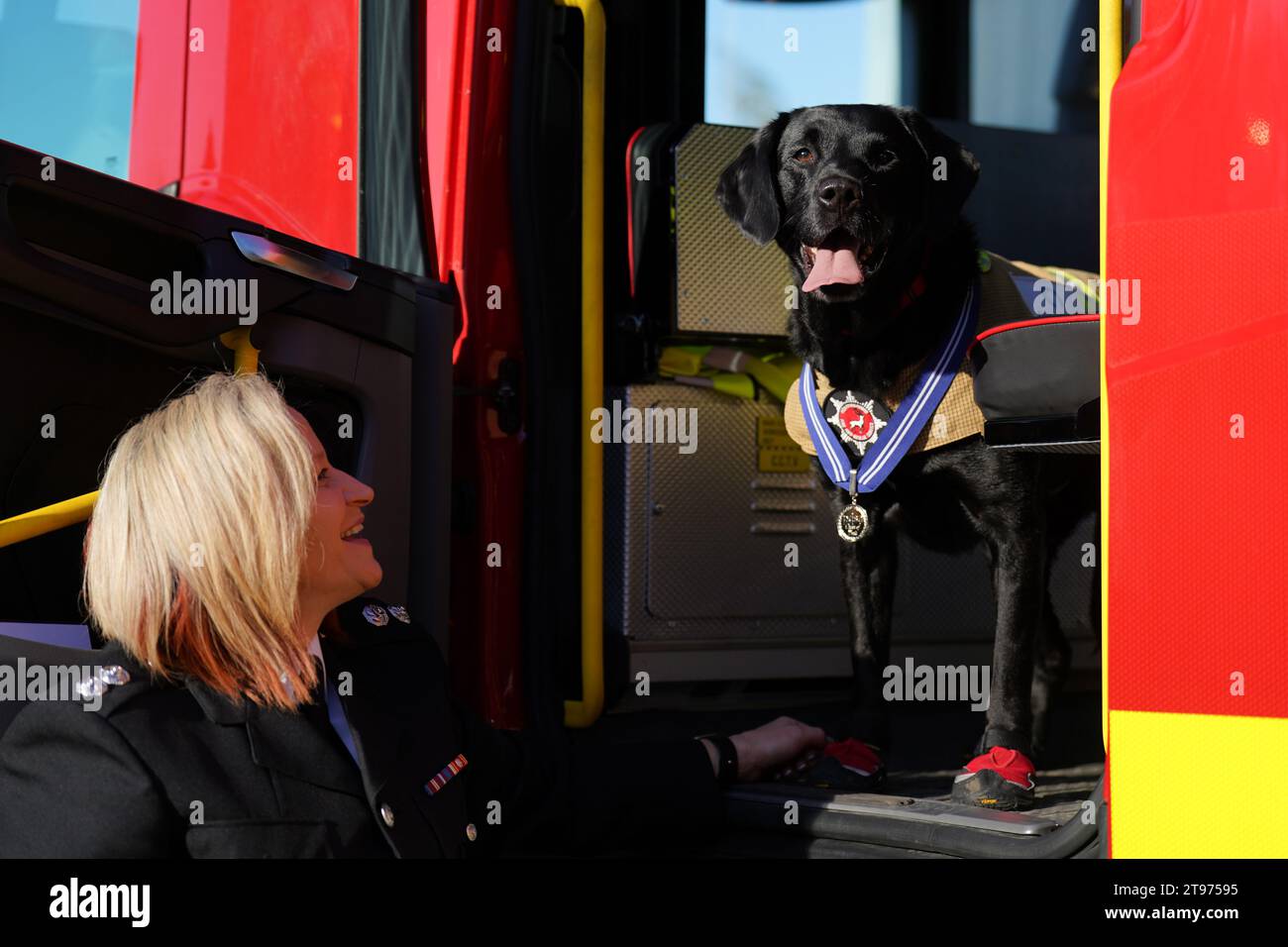 Britain's longest-serving Fire Investigation Dog, Labrador Reqs with ...