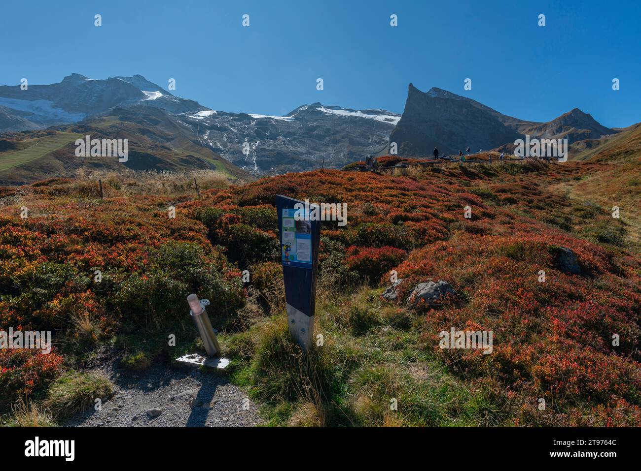 Hintertux Glacier Express, interstop at Sommerbergalm (2,200m ...