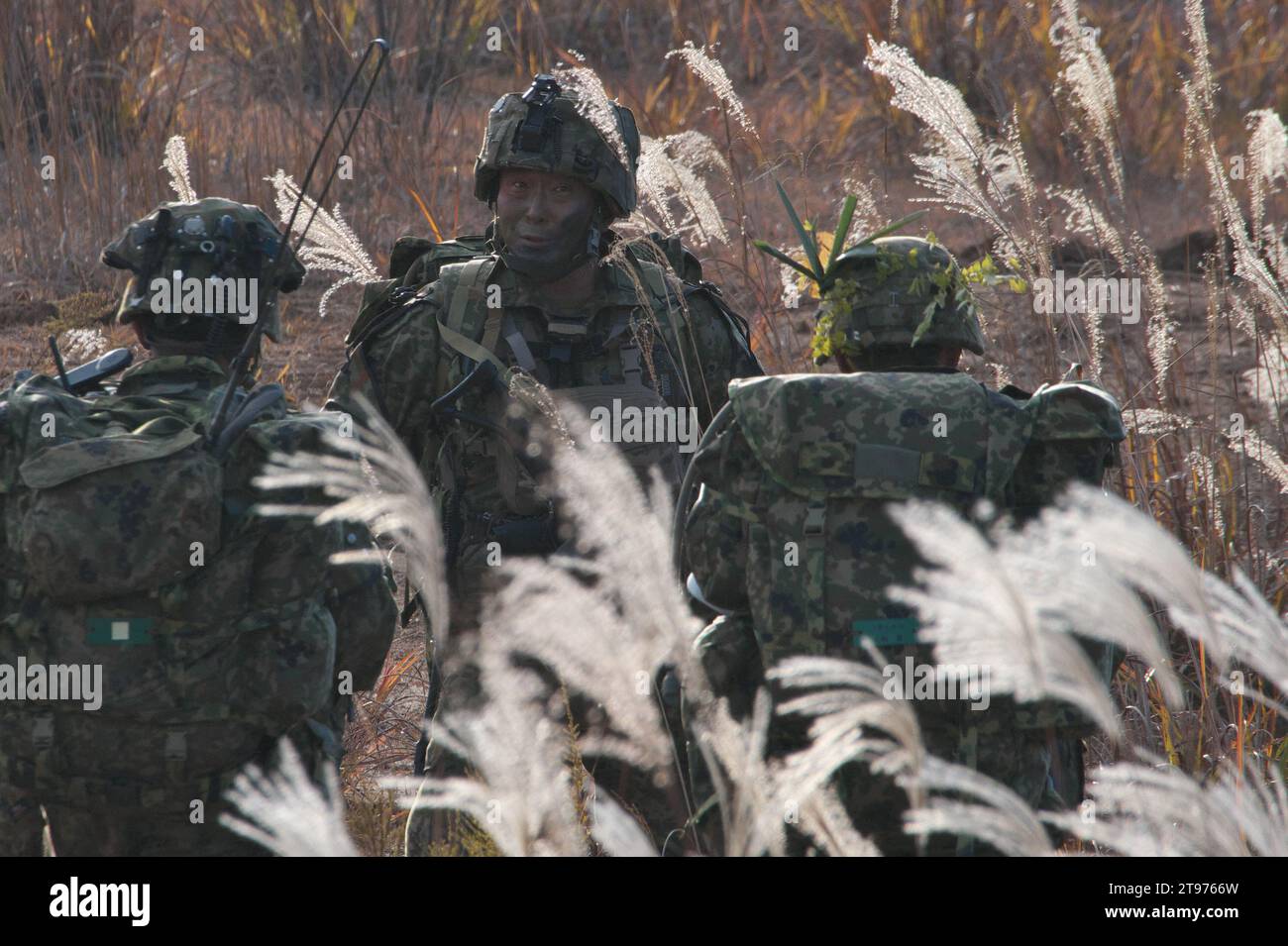 Shikama, Japan. 23rd Nov, 2023. Members of Japan Ground Self-Defense ...