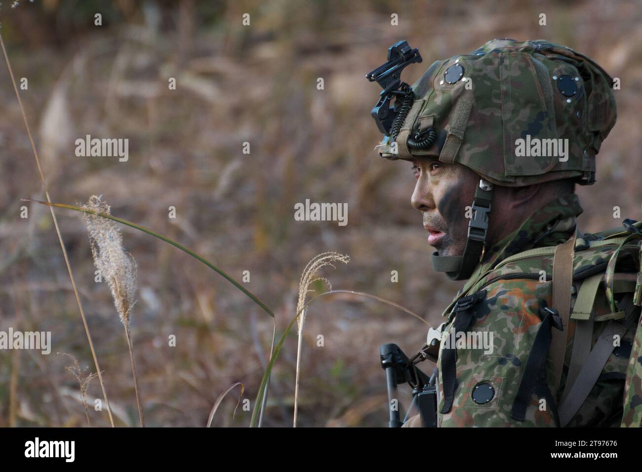 Shikama, Japan. 23rd Nov, 2023. Member of Japan Ground Self-Defense ...