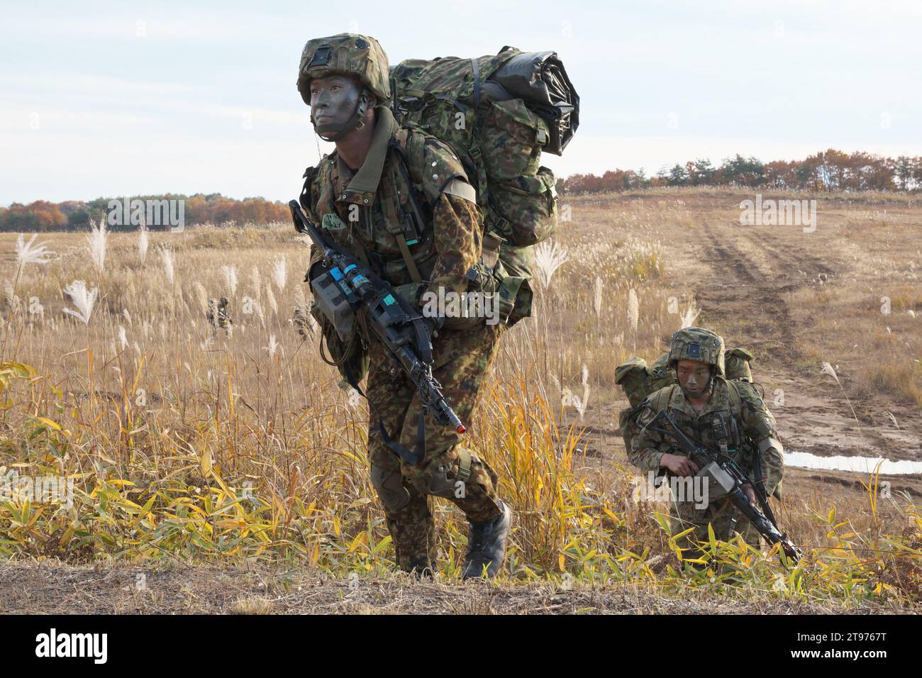 Shikama, Japan. 23rd Nov, 2023. Member of Japan Ground Self-Defense ...