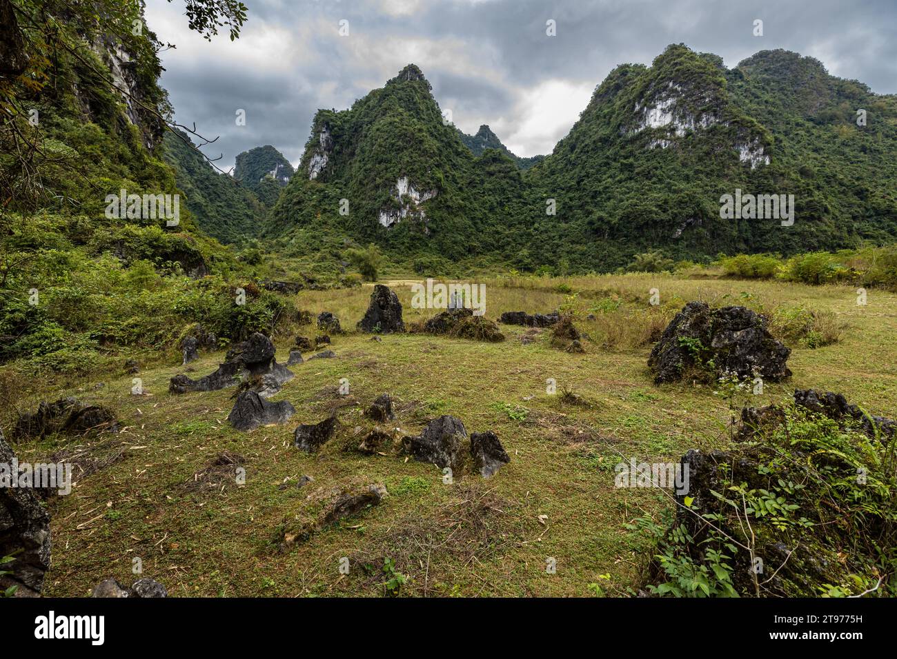 The Landscape at Ban Gioc in North Vietnam Stock Photo - Alamy