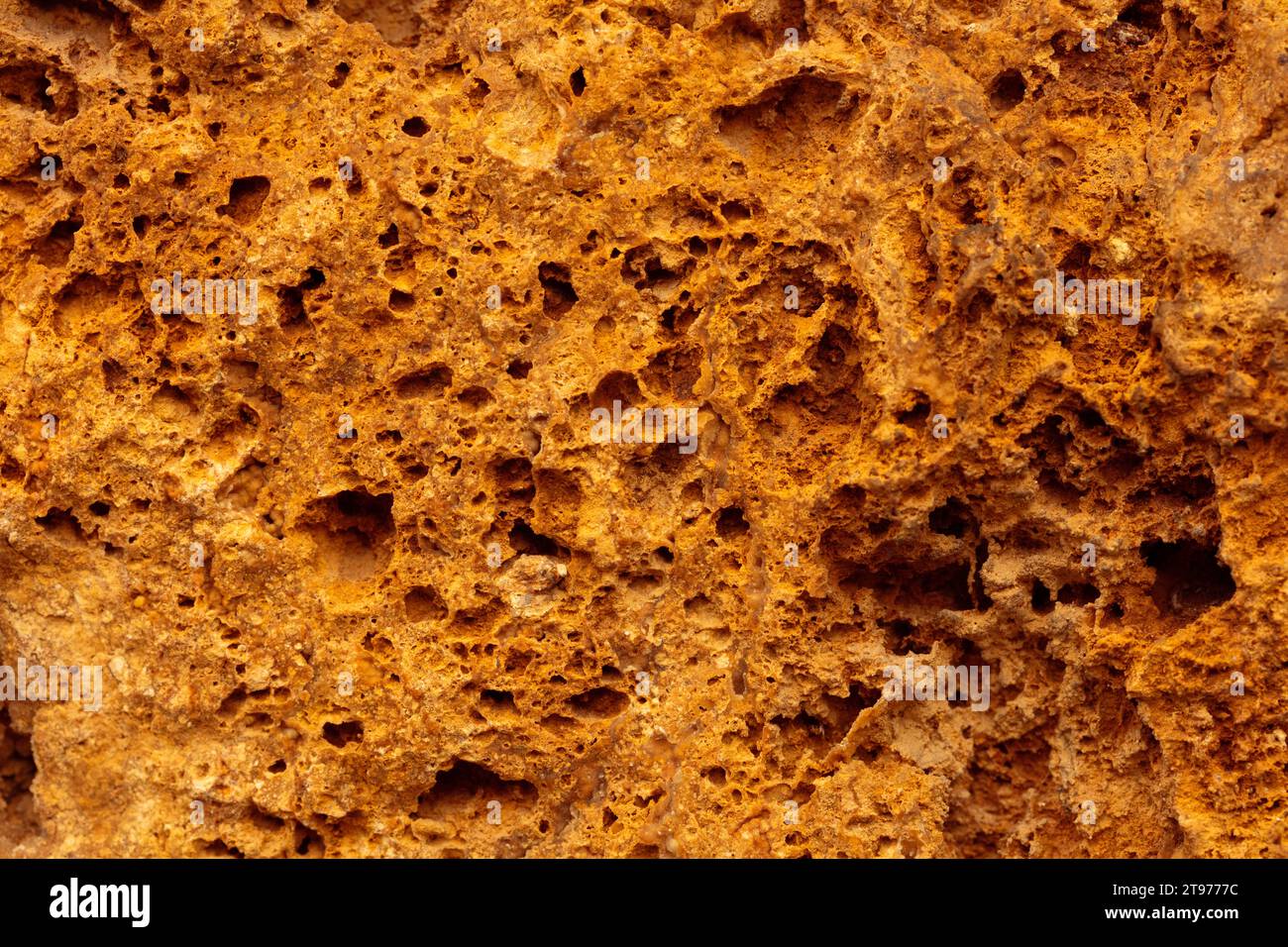 Yellow sand stone rock detailed texture surface Stock Photo - Alamy