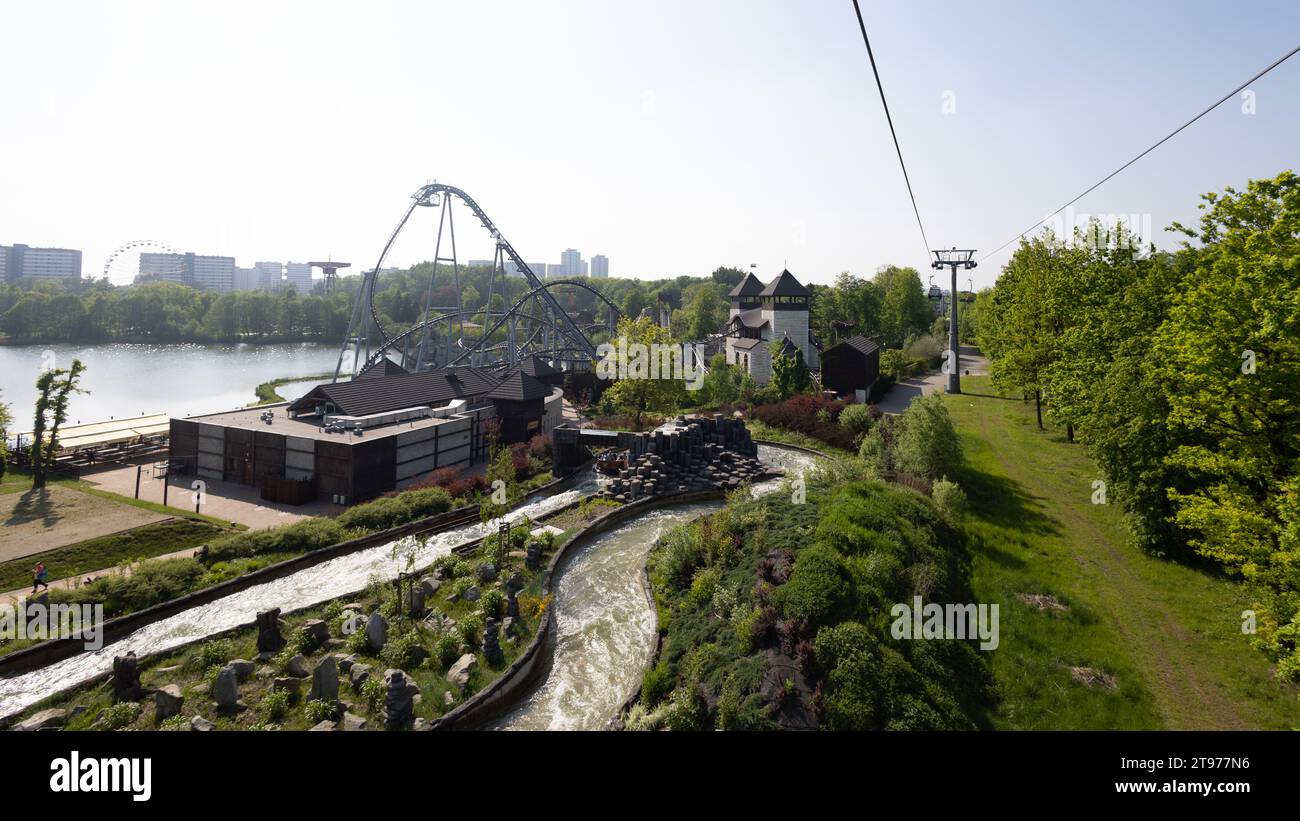 Legendia flower hi-res stock photography and images - Alamy