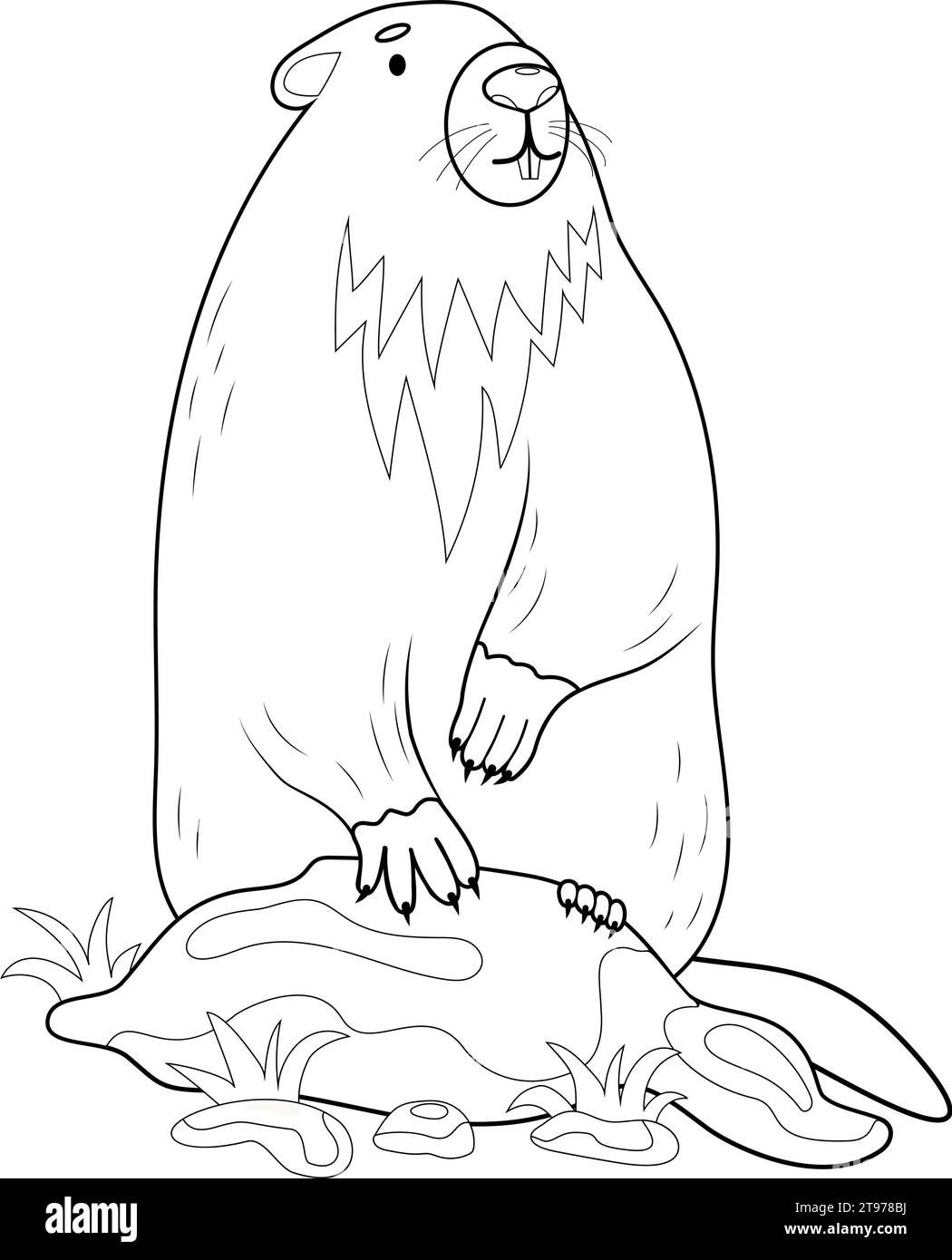 Cute Groundhog. Funny animal rodent. Vector linear hand drawing ...