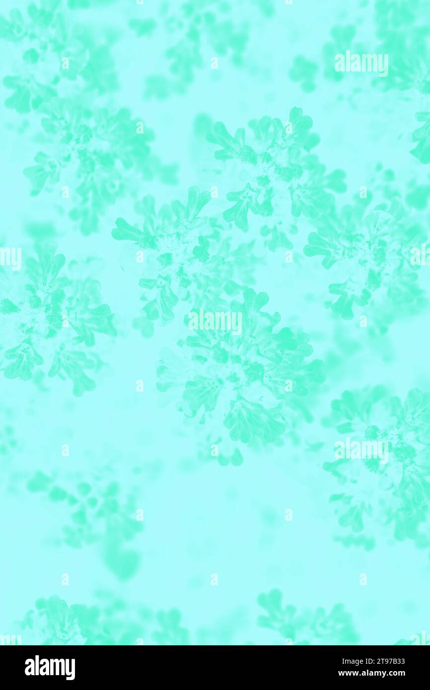 Delicate light mint color background in green tones with a floral ...