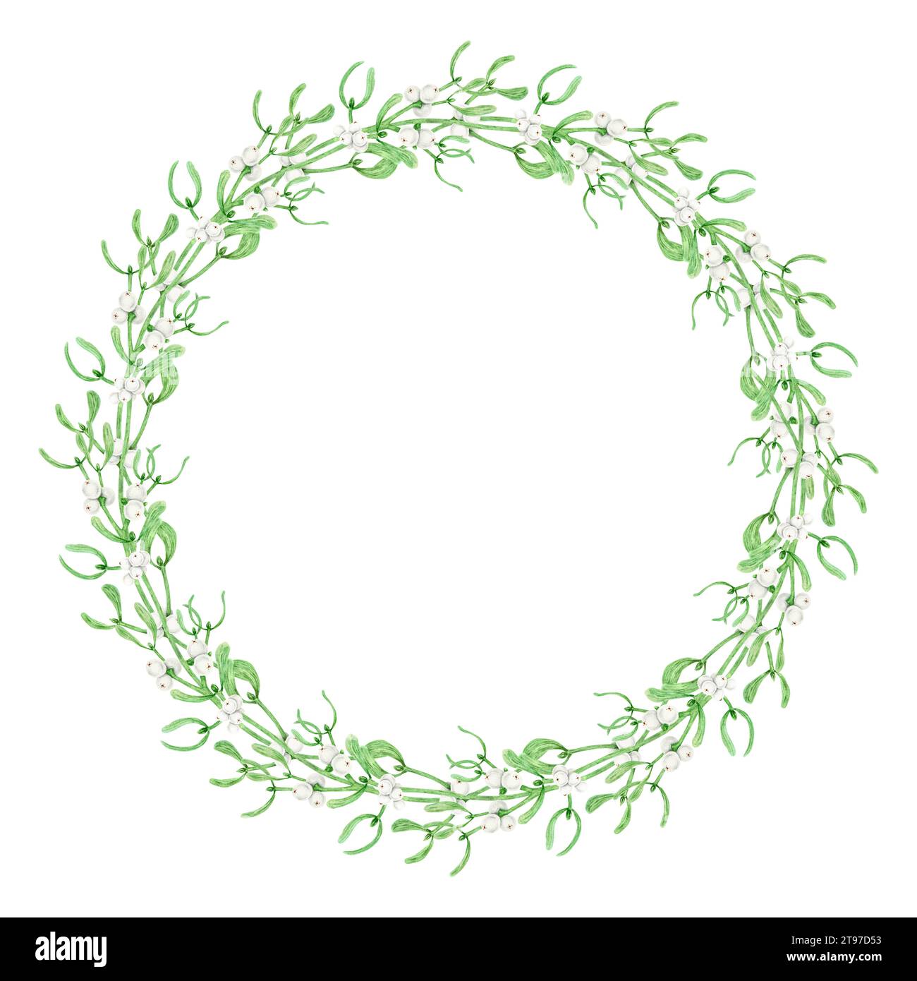 Round frame, wreath of Mistletoe evergreen branches with leaves and ...